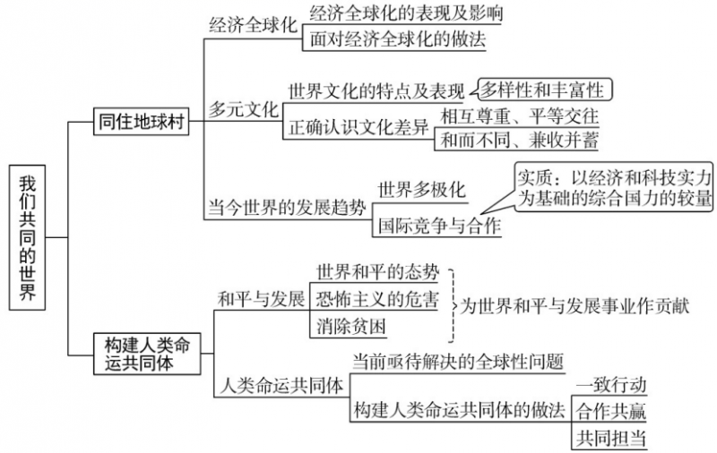 九年级下册道德与法治考点背诵 第一单元 我们共同的世界 贵定县丁立斌名师工作室 黔南州教育资源公共服务平台